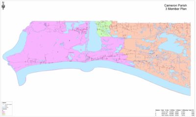 Redistricting Maps - Cameron Parish Police Jury
